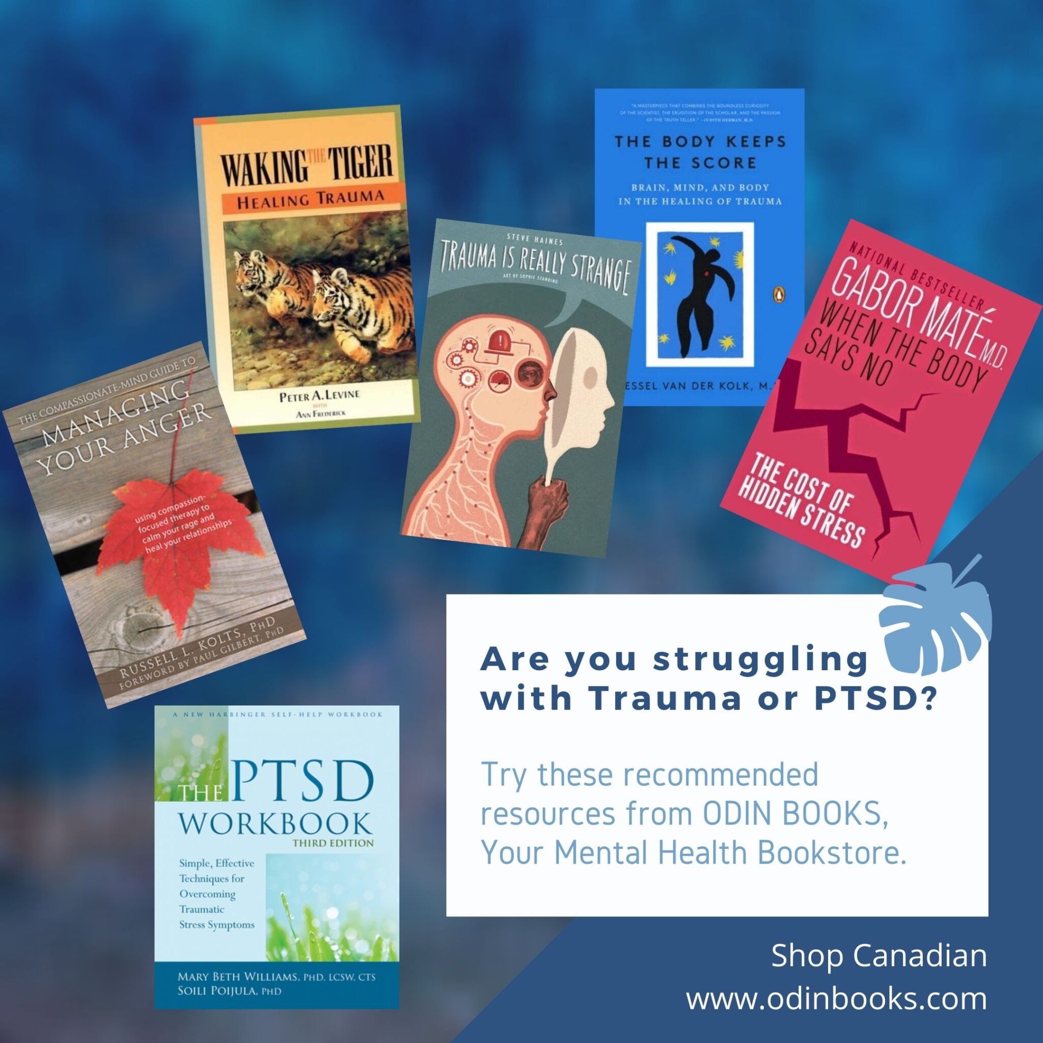 Six books to help you with Trauma/PTSD – Odin Books